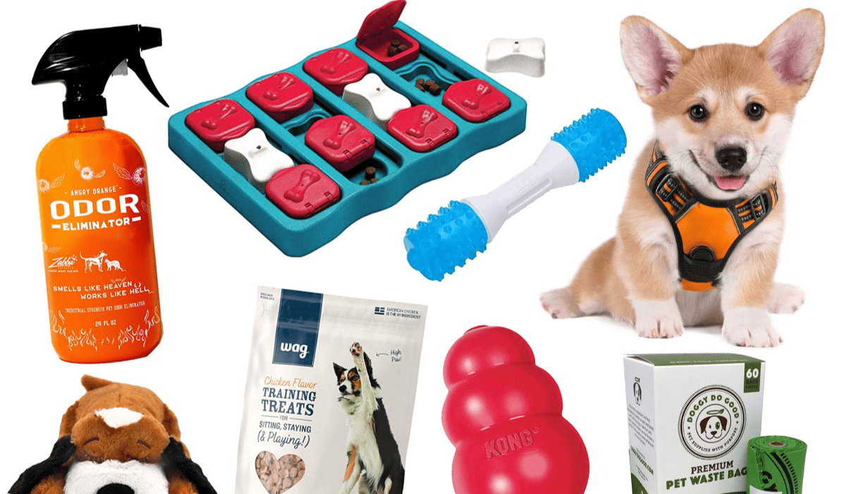 How do Animal Shelters Make Money (6 Ways)