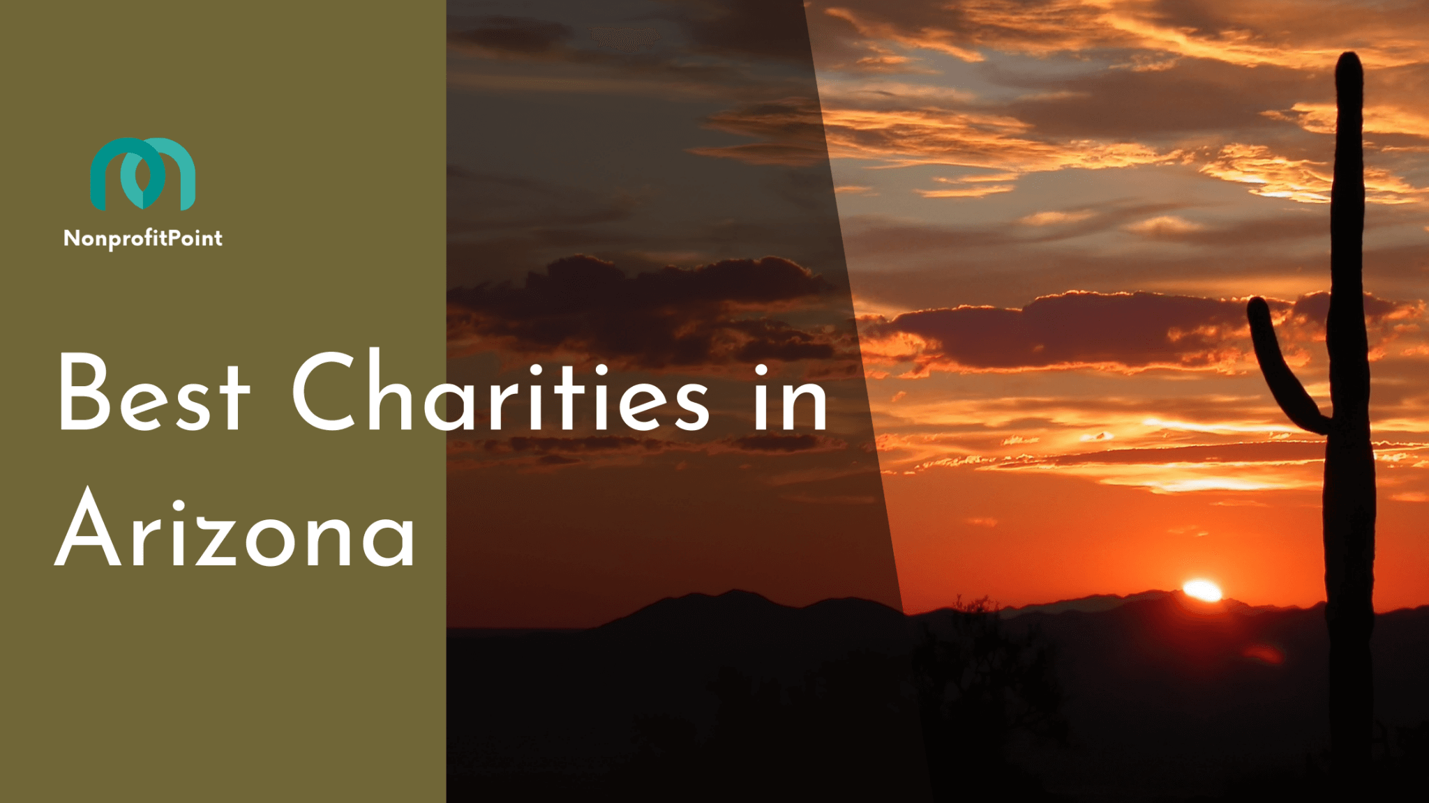 10 Best Charities That Accept Jewellery | Full List with Details