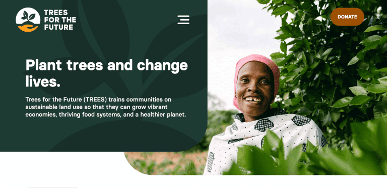 10 Best Tree Planting Organizations & Charities in 2022 | Nonprofit Point