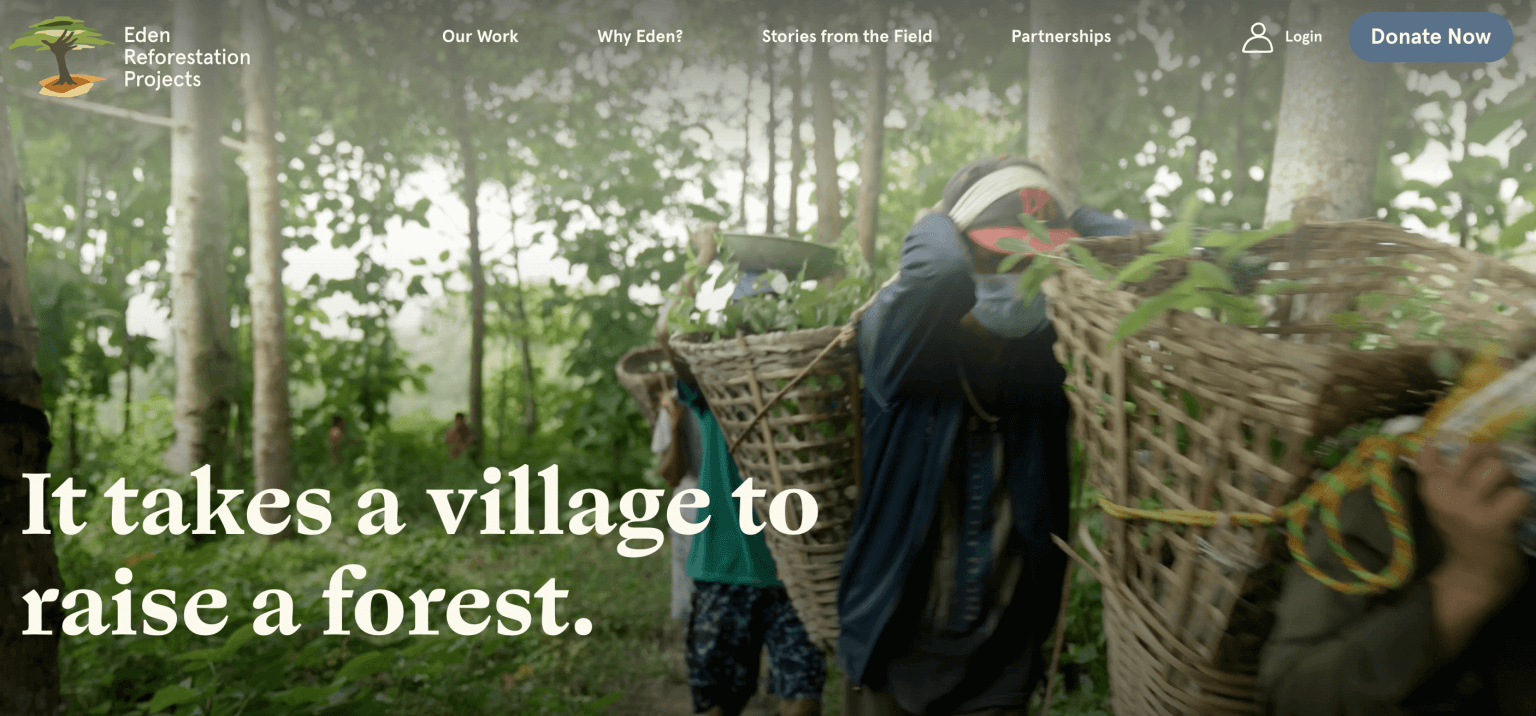 10 Best Tree Planting Organizations & Charities in 2022 | Nonprofit Point