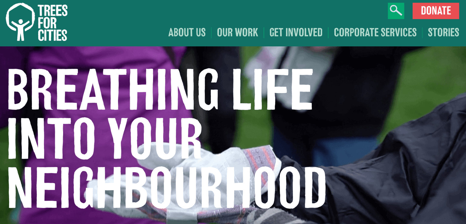 10 Best Tree Planting Organizations & Charities in 2022 | Nonprofit Point