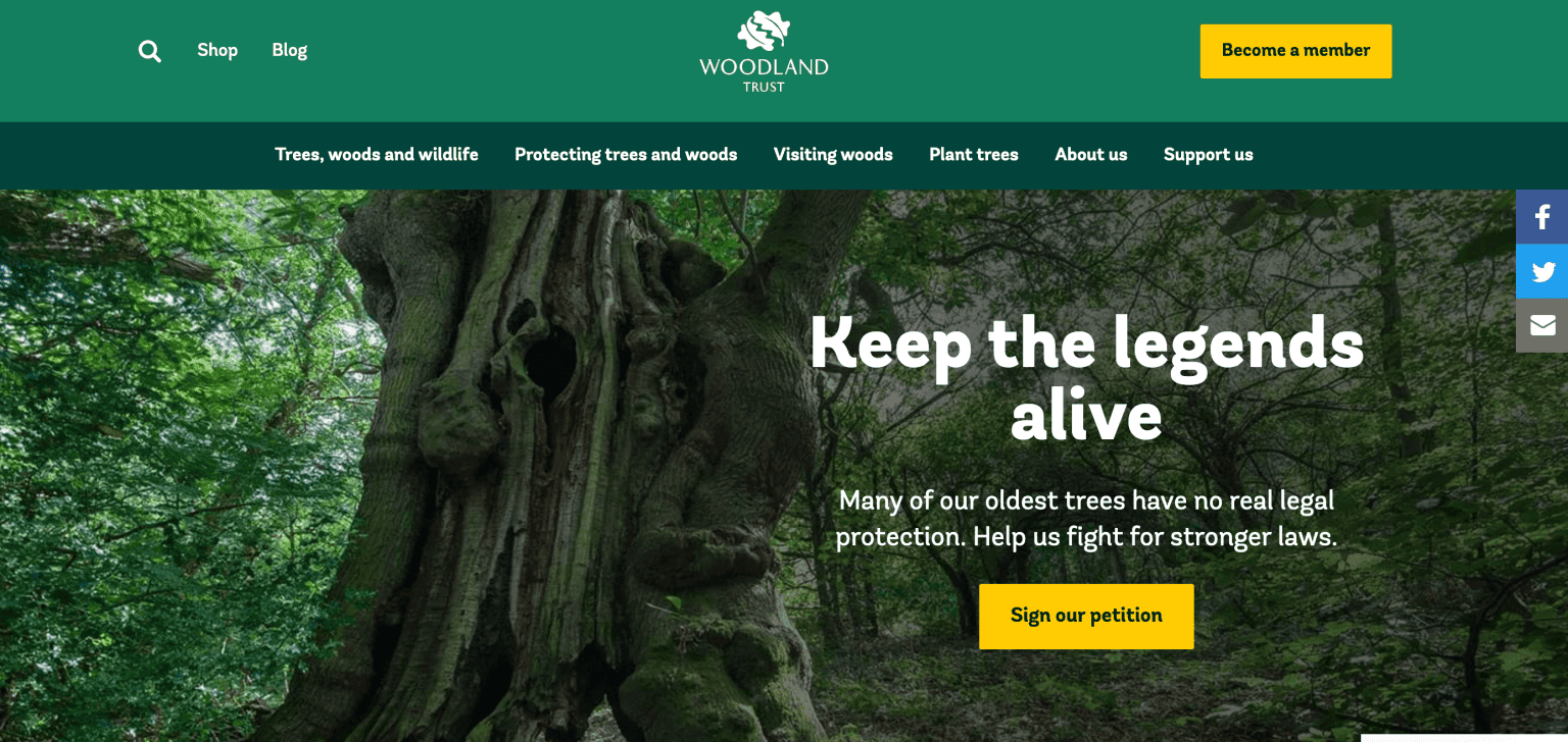 10 Best Tree Planting Organizations & Charities in 2022 | Nonprofit Point