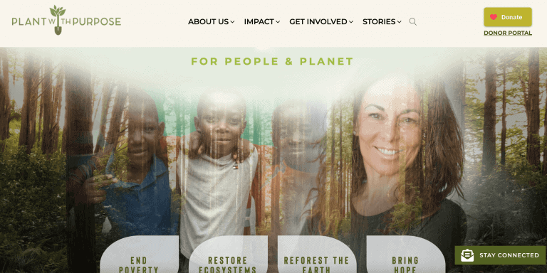 10 Best Tree Planting Organizations & Charities in 2022 | Nonprofit Point