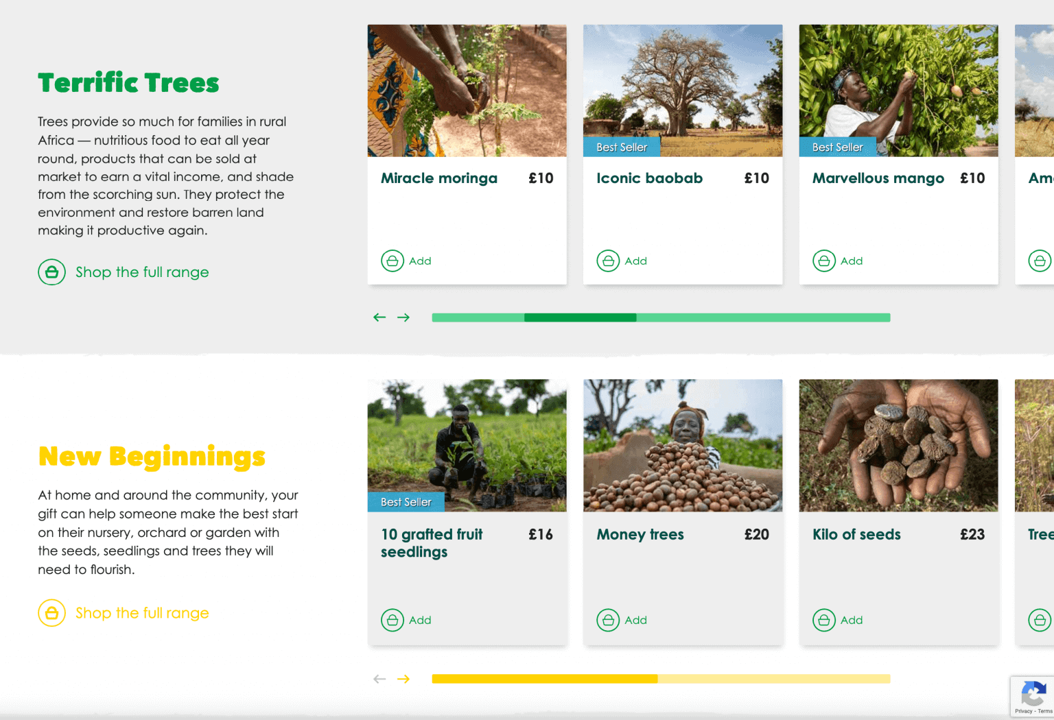 10 Best Tree Planting Organizations & Charities in 2022 | Nonprofit Point