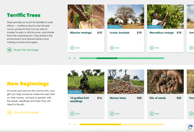 10 Best Tree Planting Organizations & Charities in 2022 | Nonprofit Point