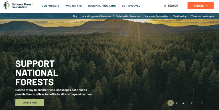 10 Best Tree Planting Organizations & Charities in 2022 | Nonprofit Point