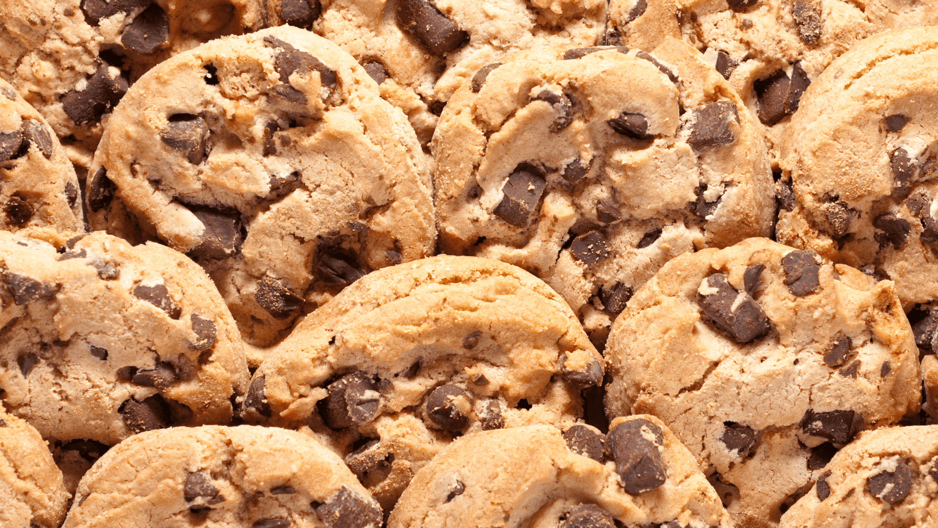 How To Throw a Successful Christmas Cookie Fundraiser | Nonprofit Point