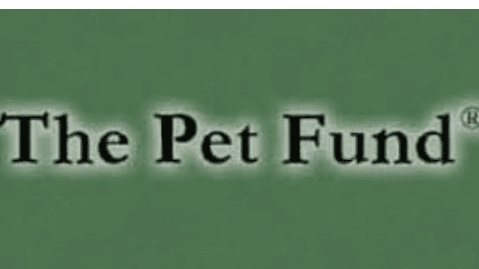 9 Best Charities that Help with Vet Bills | Full List with Details