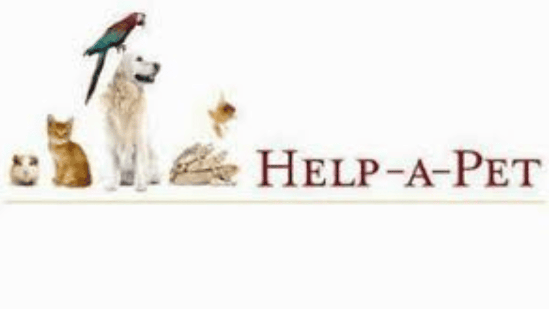 9 Best Charities that Help with Vet Bills | Full List with Details