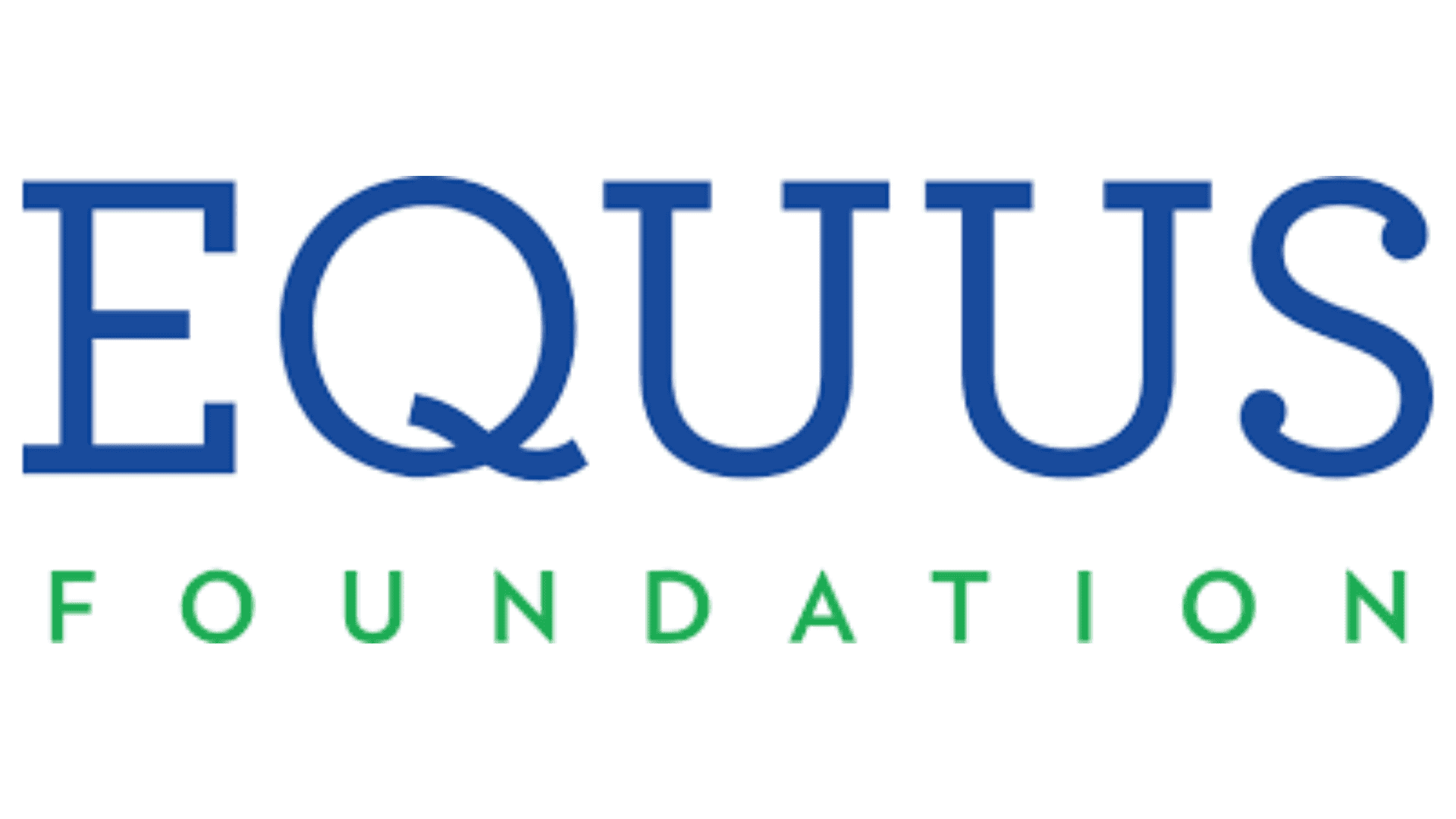 9 Best Charities that Help Horses | Full List with Details