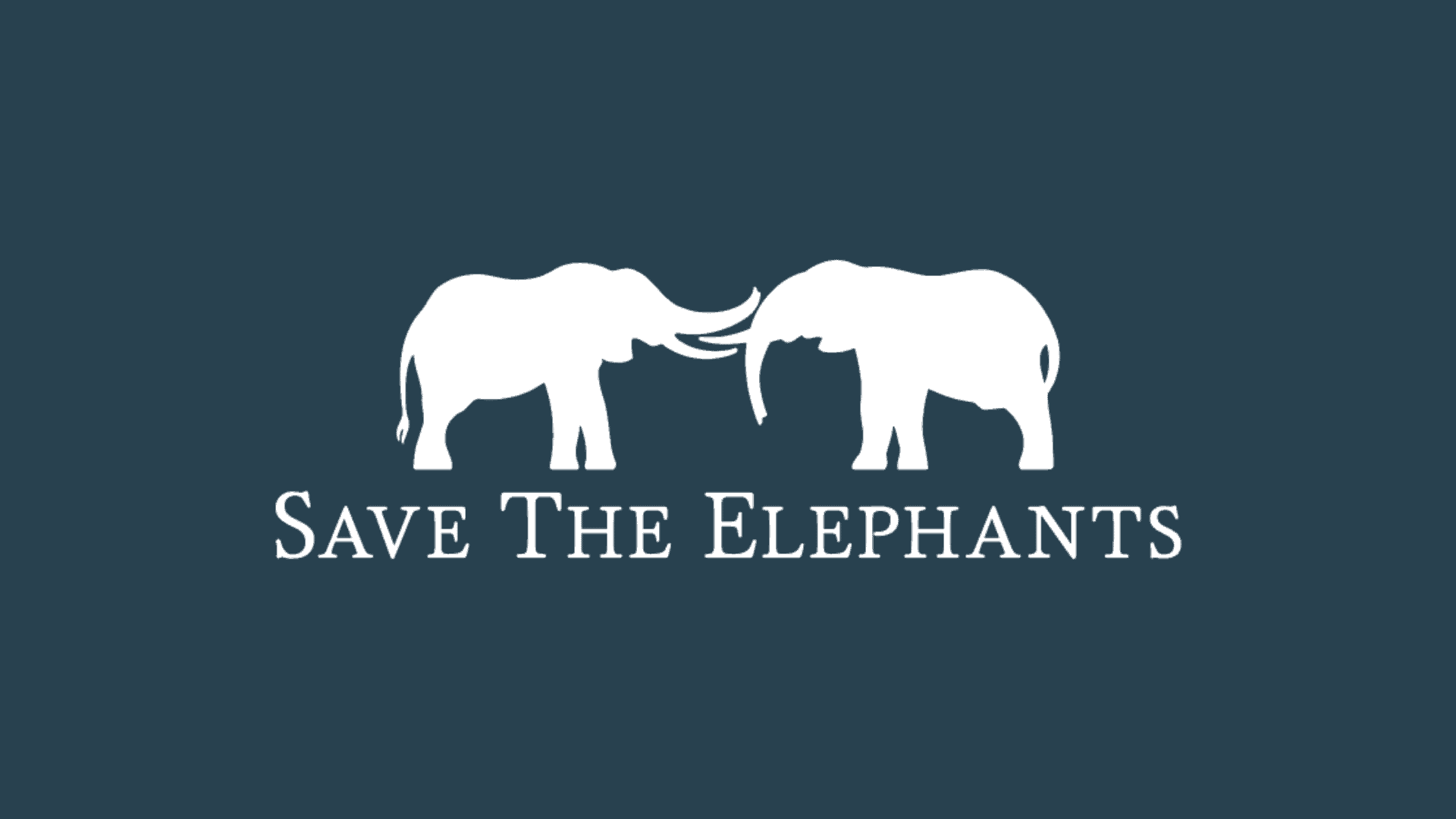 9 Best Charities for Elephants | Support Elephant Conservation Today