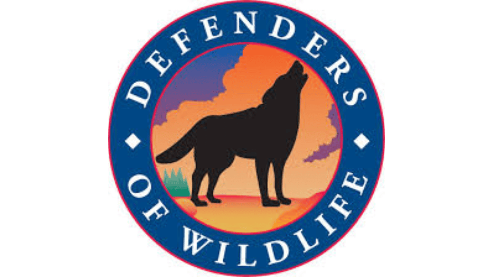 11 Best Wildlife Charities to Donate to in 2026 & Beyond | Nonprofit Point
