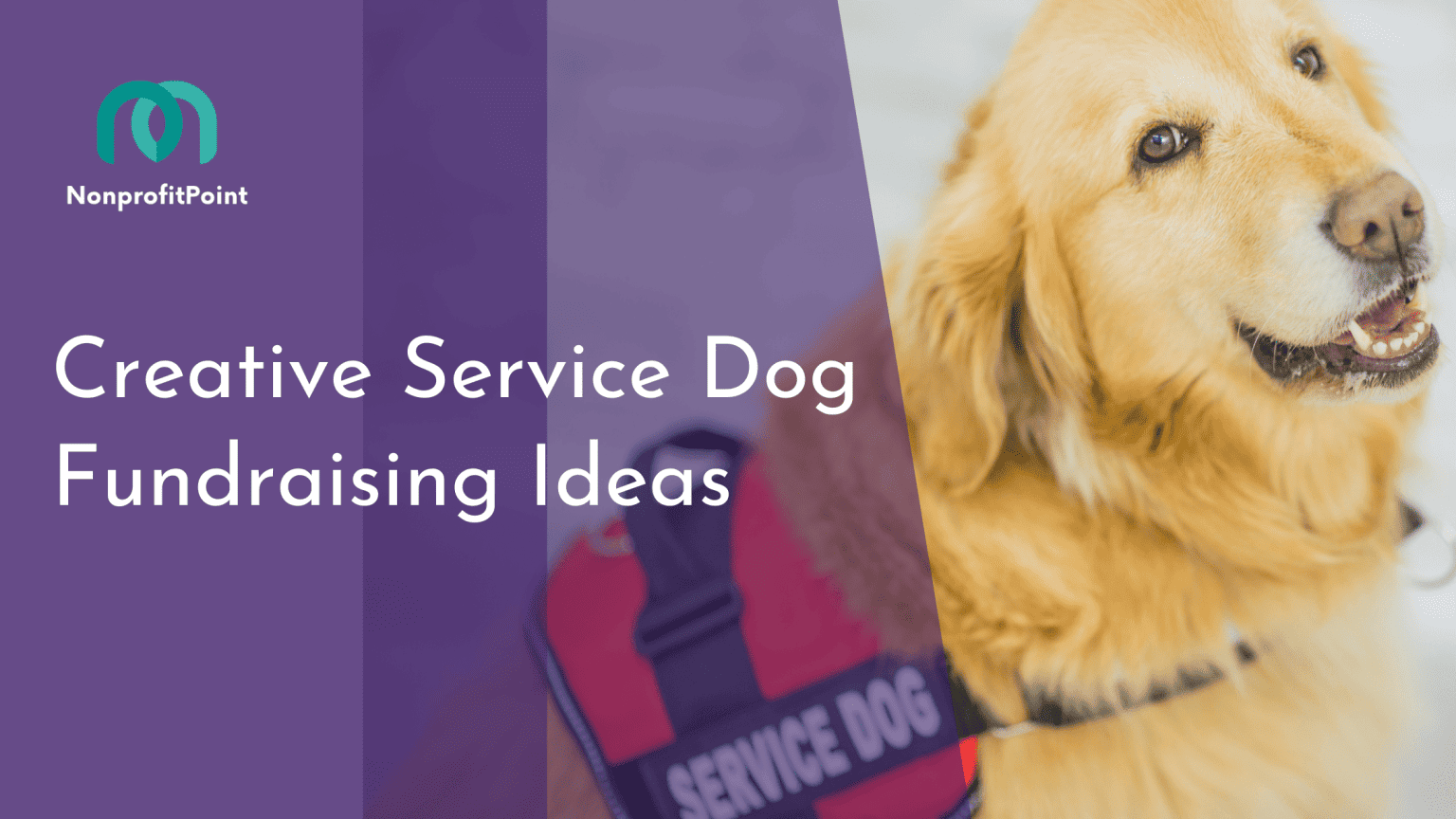 Fuel the Flame: 15 Unique Fundraising Ideas for Fire Department (With Tips)
