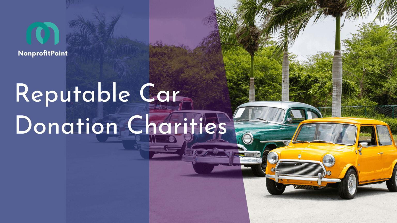 14 Different Types of Charities You Should Know About (With Examples ...
