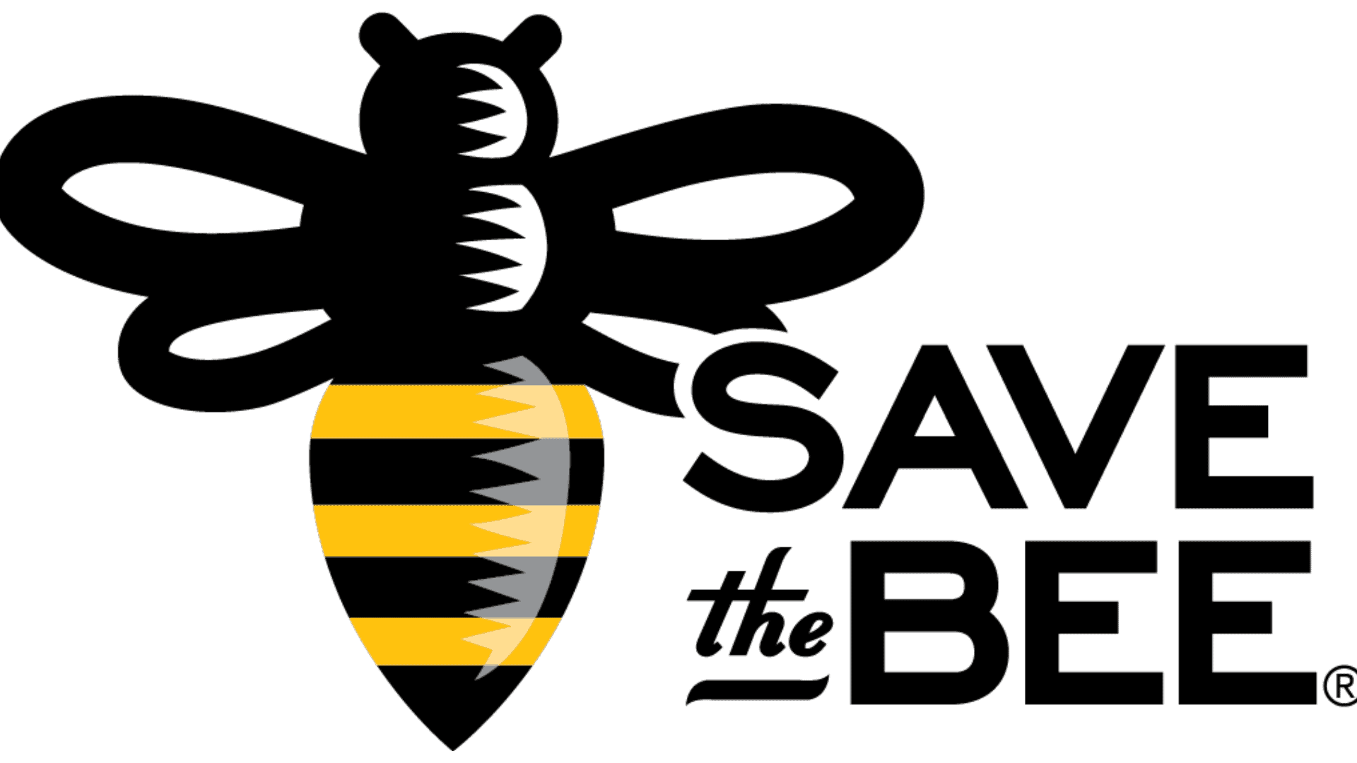 Top 10 Best Bee Charities to Donate to in 2025 | Nonprofit Point