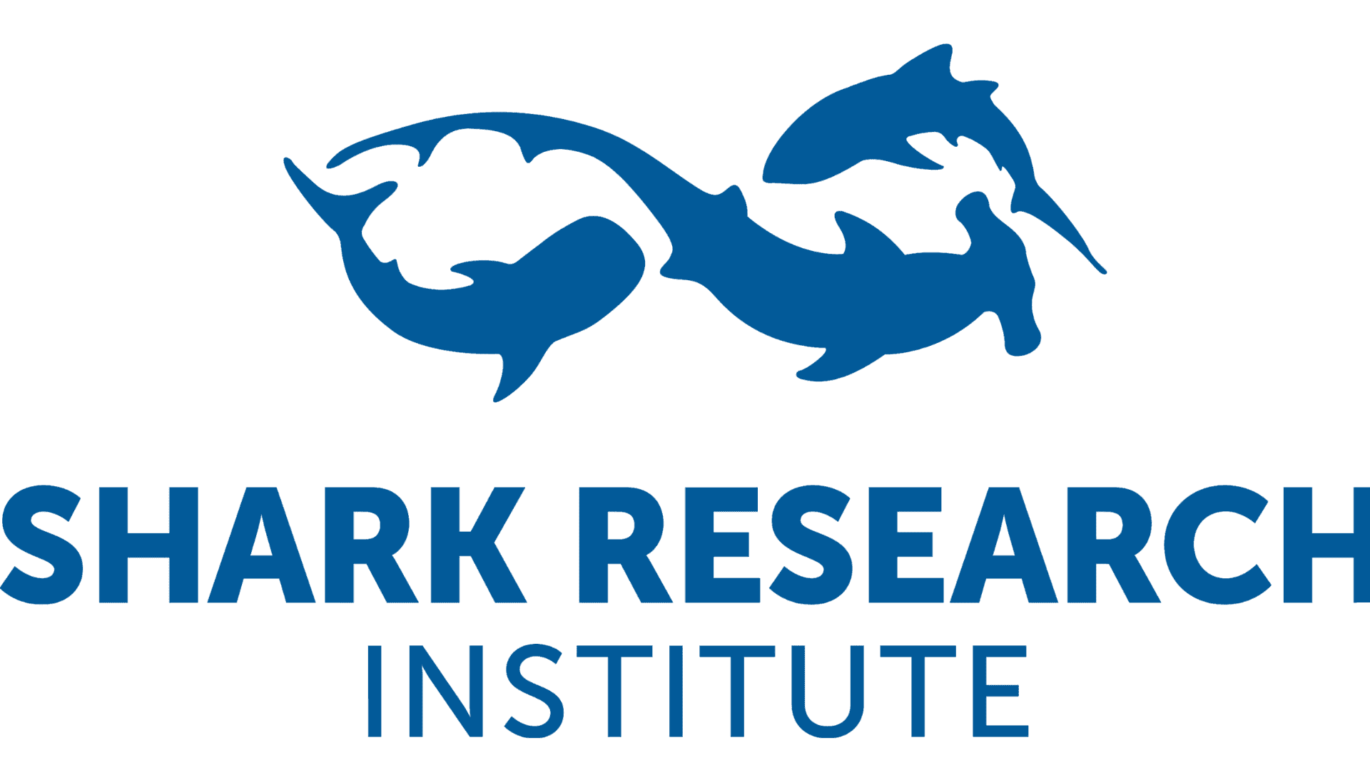 7 Best Shark Charities to Donate to in 2025| Full List with Details