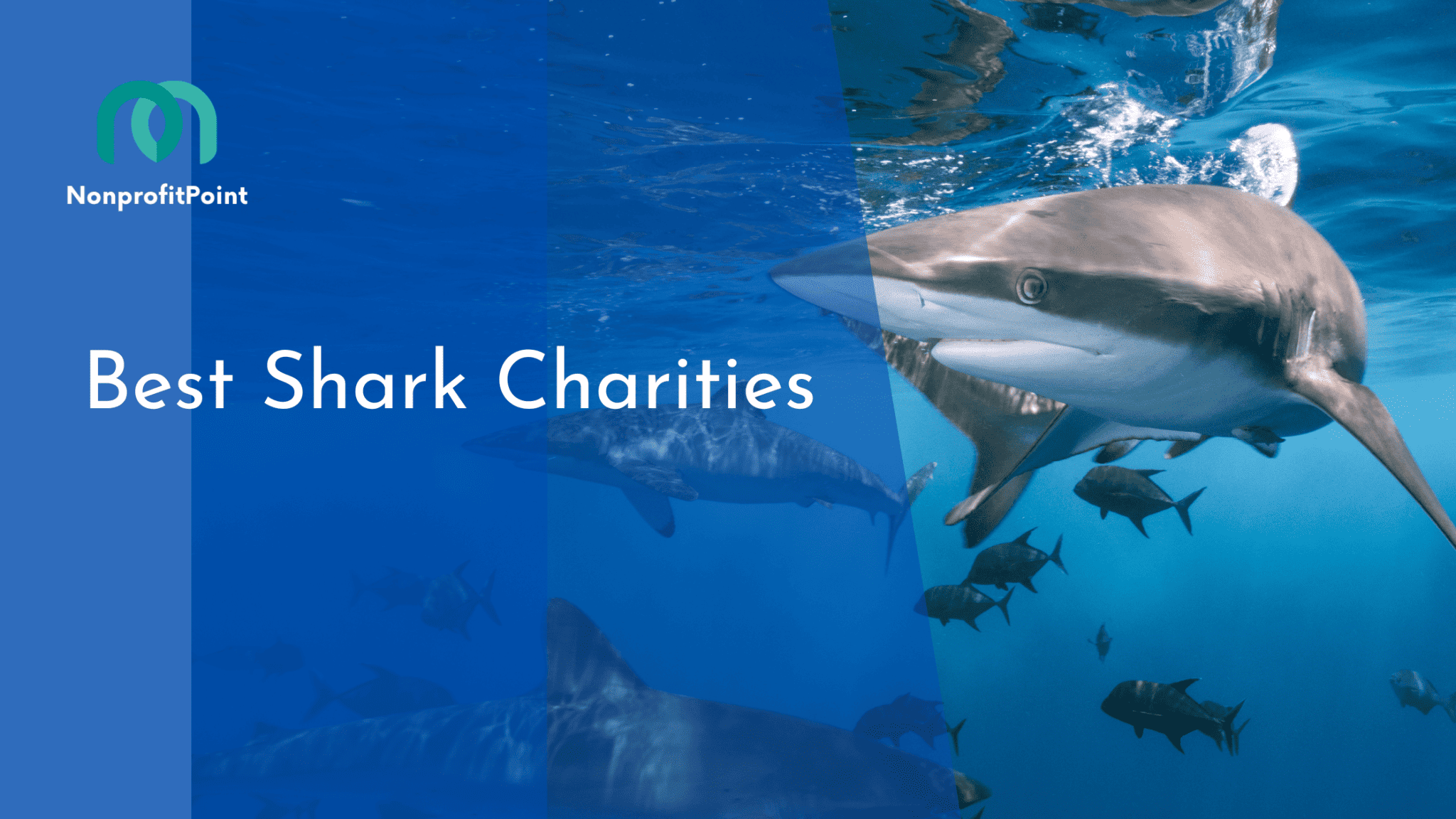 8 Best Charities that Accept Timeshare Donations | Full List with Details