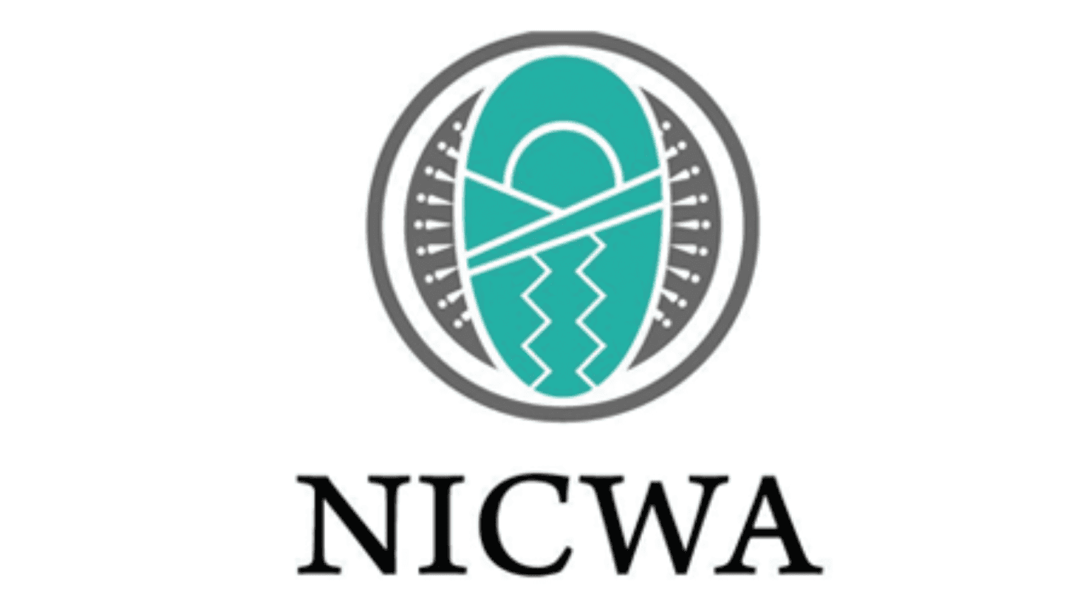 9 Best Native American Charities to Donate in 2023 | Full List with Details