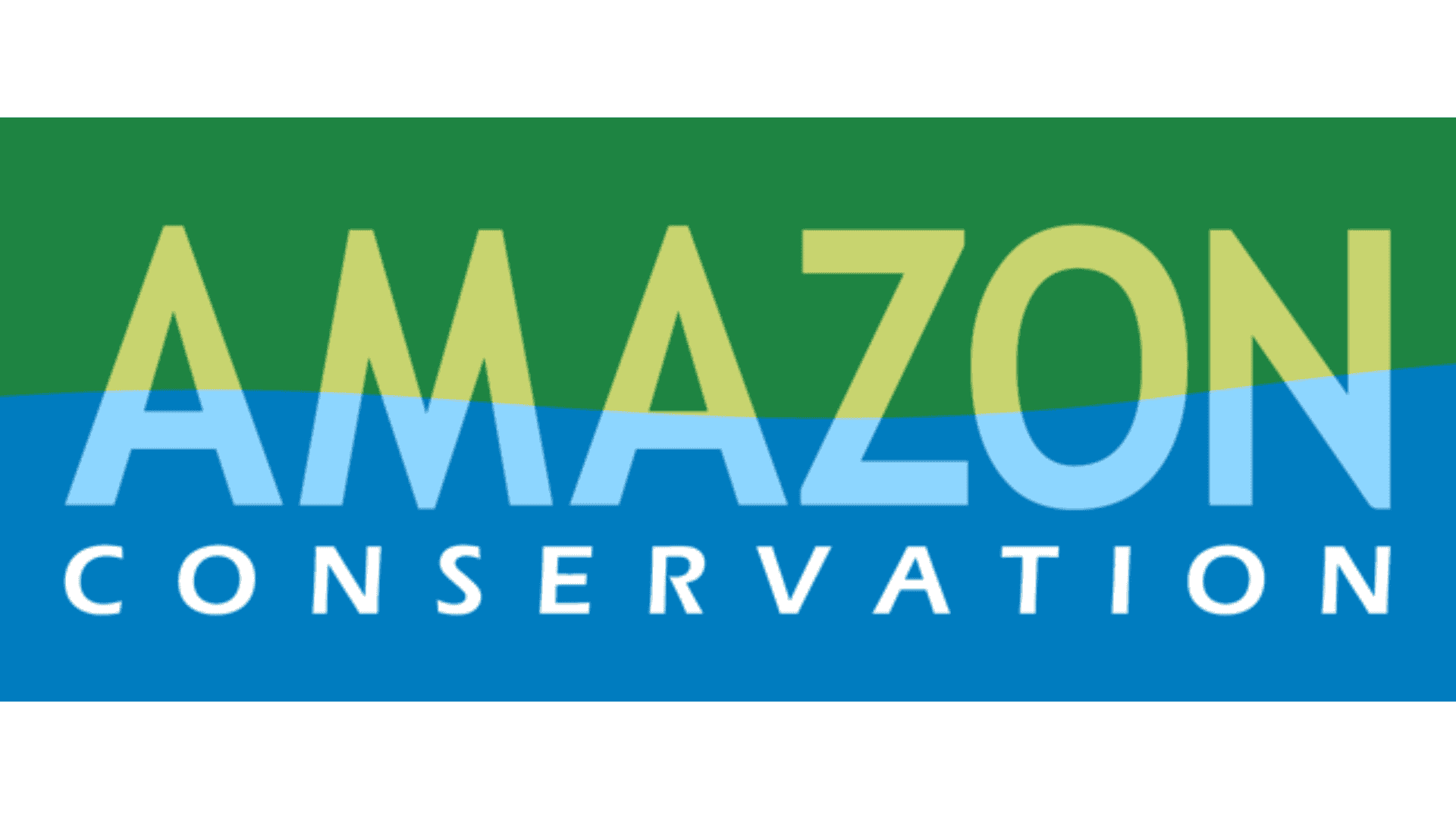 9 Best Rainforest Charities to Donate in 2023 | Full List with Details ...