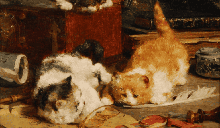 10 Purrfectly Creative Fundraiser Ideas for Cat and Rescue Organizations