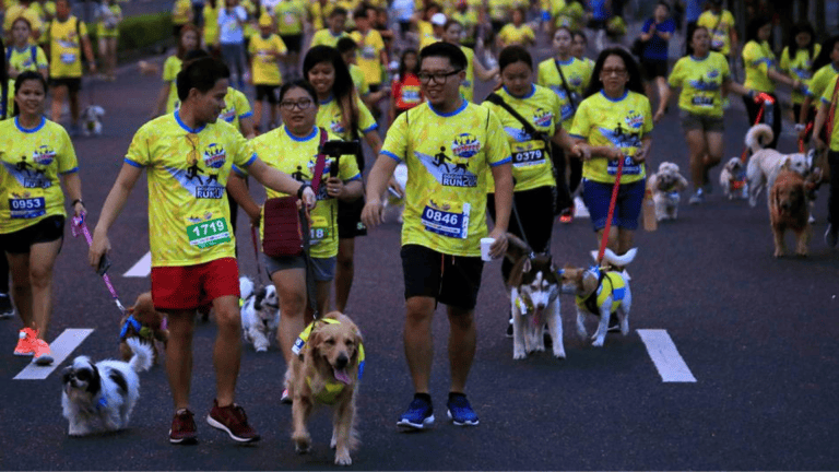 10 Unique Dog Park Fundraising Ideas: Pawsitively Awesome