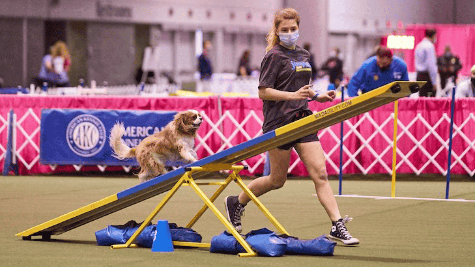 10 Unique Dog Park Fundraising Ideas: Pawsitively Awesome