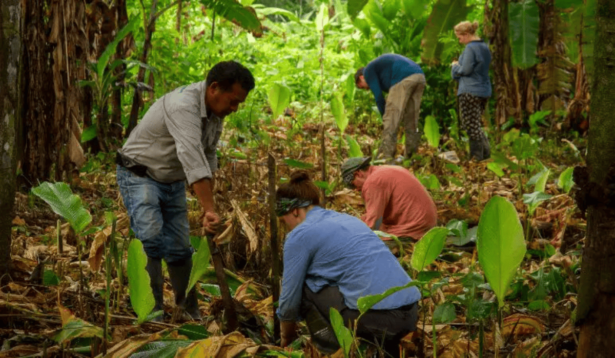 7 Inspiring Fundraising Description Examples for Your Next Campaign ...