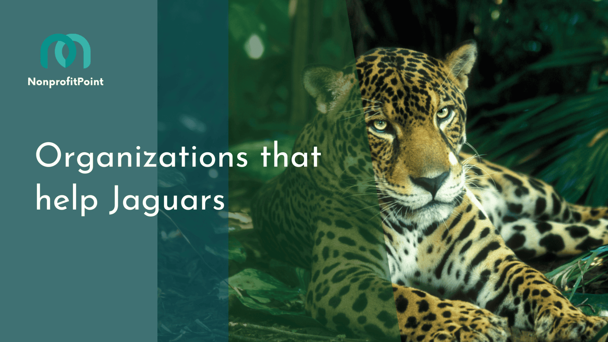 8 Best Charities That Help International Students Financially | Full ...