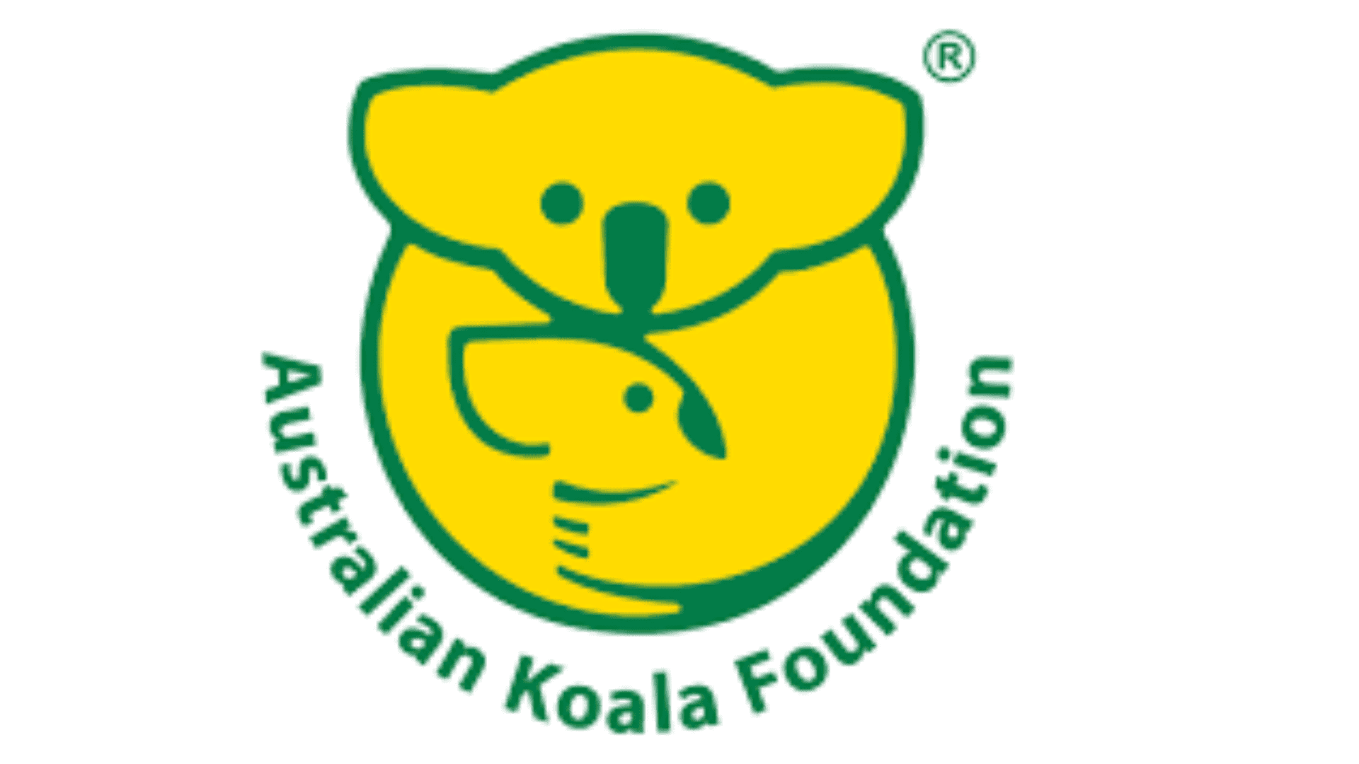 Koala Crusaders: Top 9 Organizations That Help Australia's Beloved Koalas
