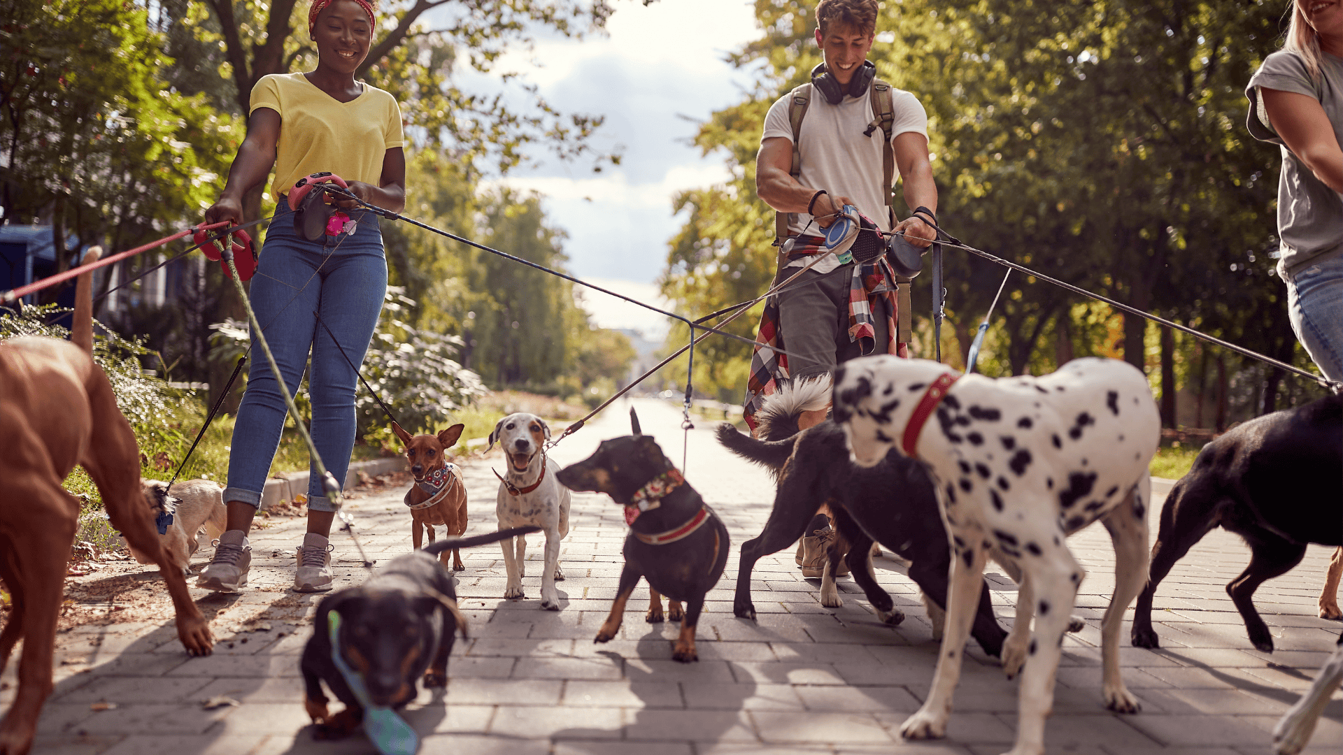 Top 12 Dog Rescue Fundraiser Ideas to Support Our Furry Friends (With ...