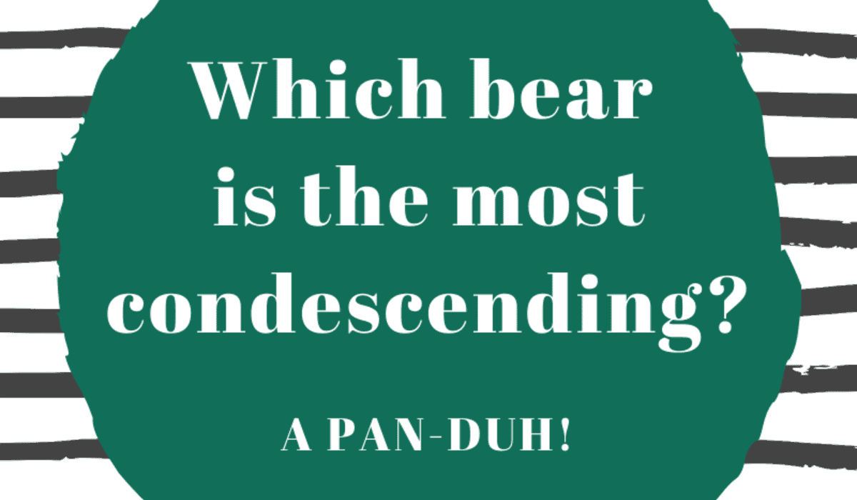 25+ Funny Ways to Ask for Donations: Make Giving Fun