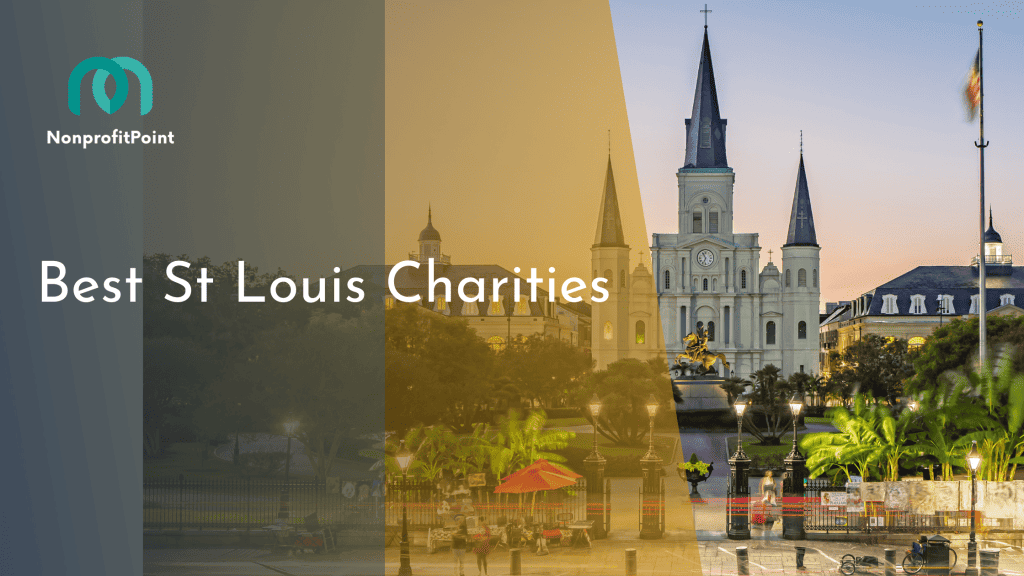 10 Best Disaster Relief Charities to Donate in 2025 | Full List with ...