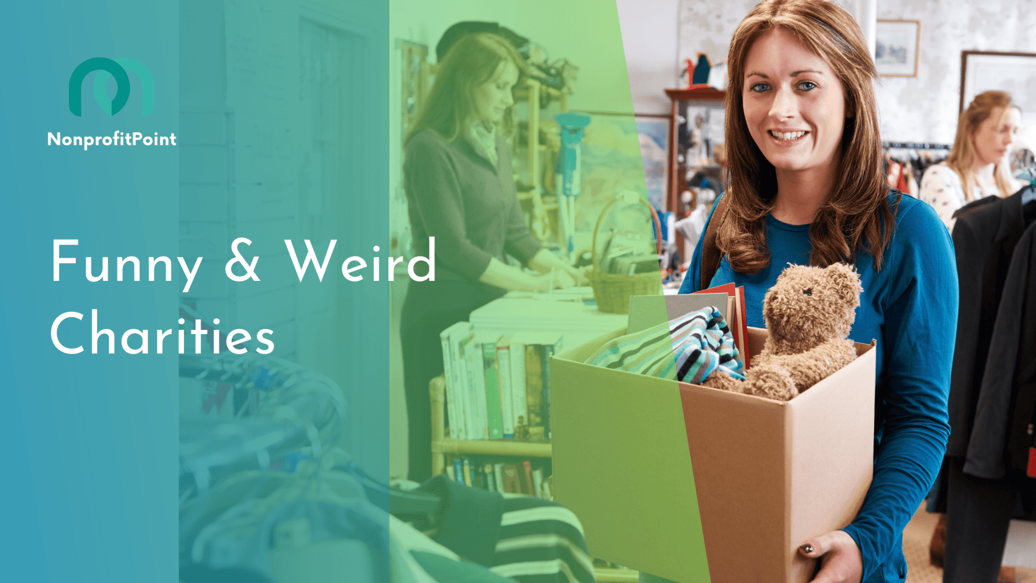 9 Best Bird Charities: Unleash your Philanthropic Wings for Avian ...