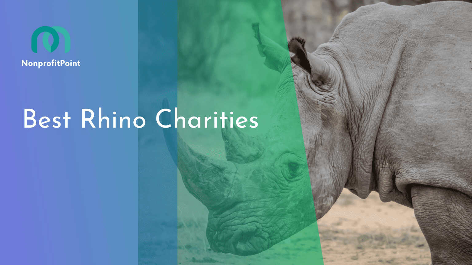 10 Worst Charities to Donate To in 2025 (Avoid Them at any cost)