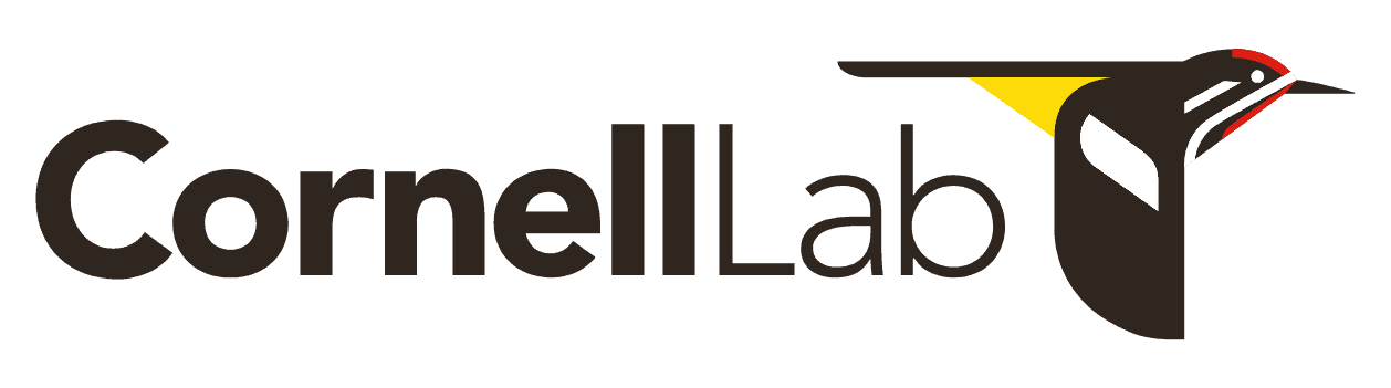 9 Best Bird Charities: Unleash your Philanthropic Wings for Avian ...