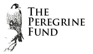 9 Best Bird Charities: Unleash your Philanthropic Wings for Avian ...