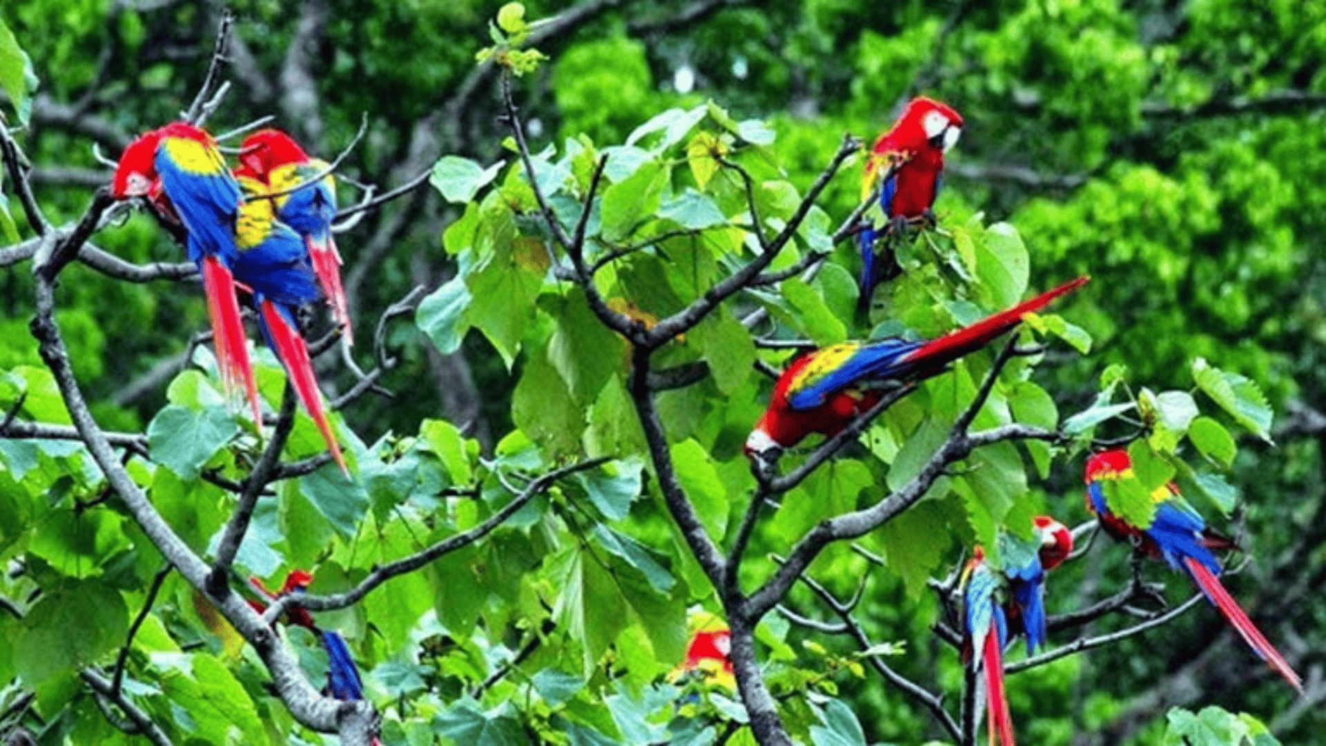 15 Spring Raffle Basket Ideas: Curate Joyful Surprises for the Season