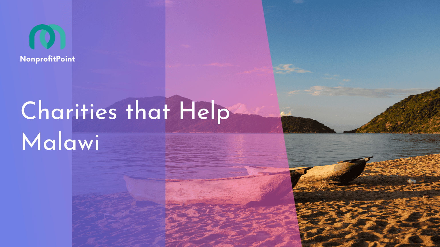 14 Different Types of Charities You Should Know About (With Examples)