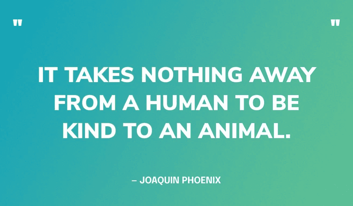 10 Short Donation Message Examples (For Each Type, With Tips)