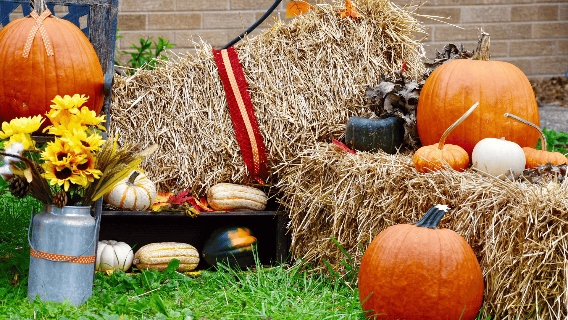 20+ Unique Fall Fundraiser Basket Ideas: Embrace the Season