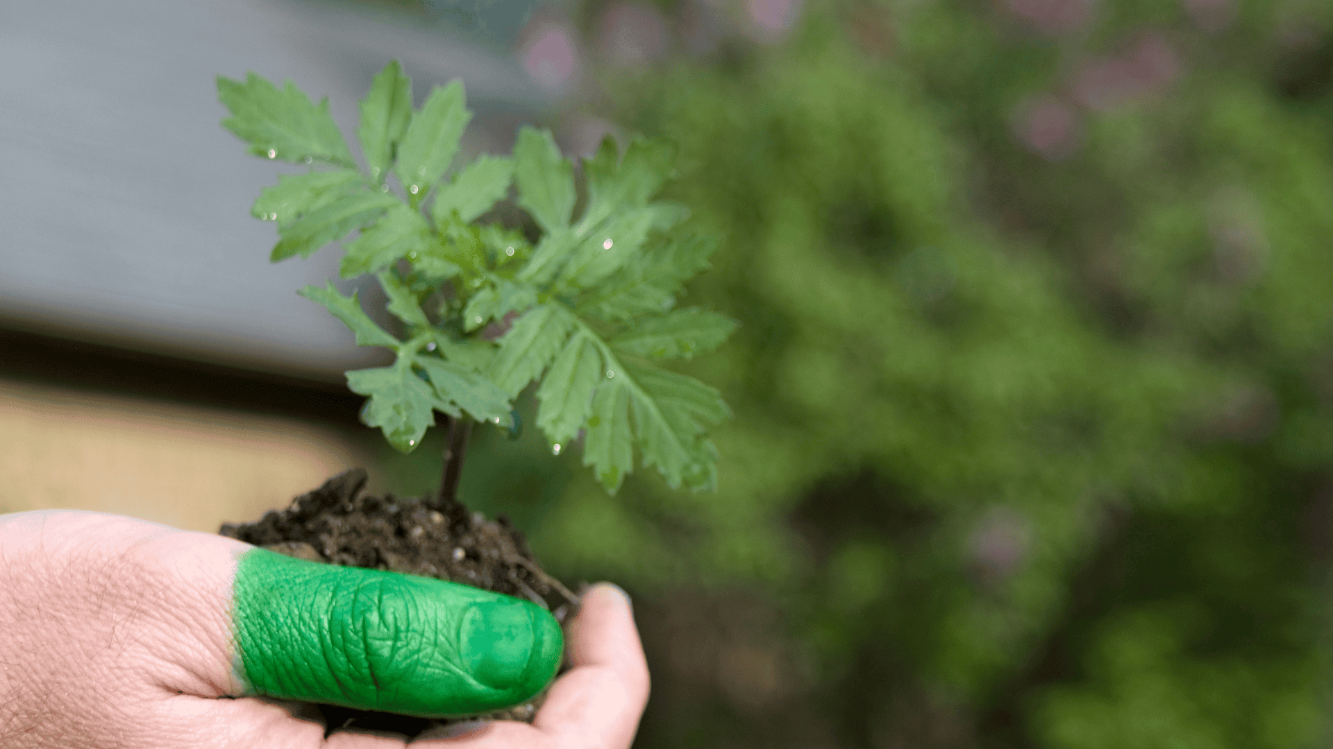 10 Ultimate Raffle Basket Ideas for Families: Unleash the Joy of Shared ...