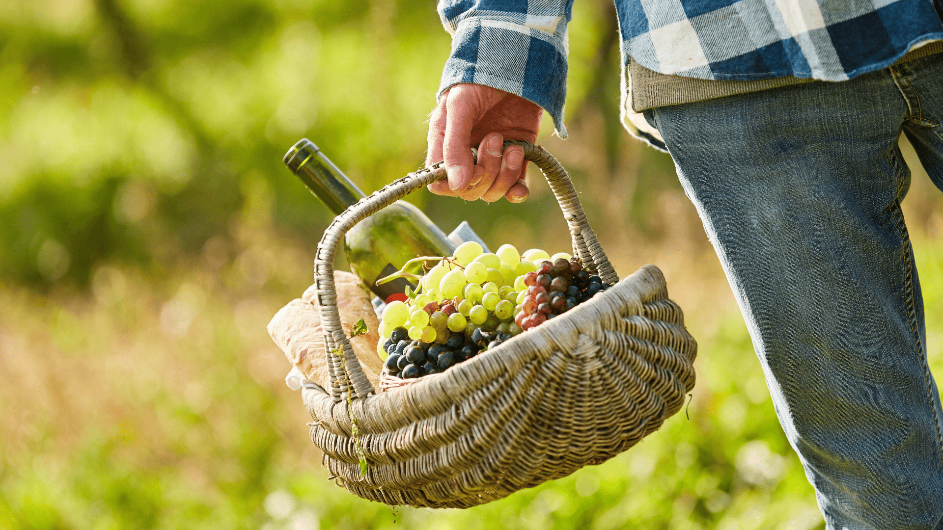 35+ Creative Fall Raffle Basket Ideas: From Cozy Throws to Pumpkin Kits