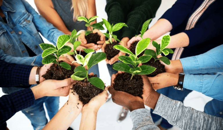 90+ Unique Winter Fundraiser Names (With Themes)