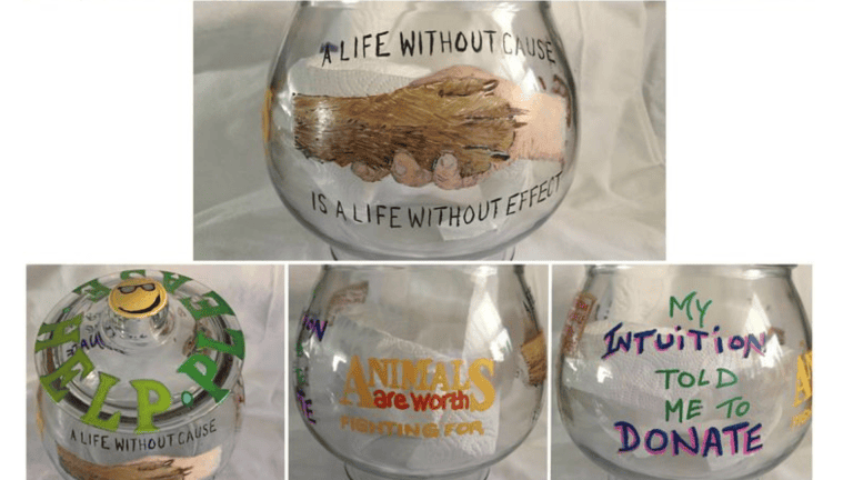 30+ Effective Donation Jar Wording Ideas for Every Fundraising Event