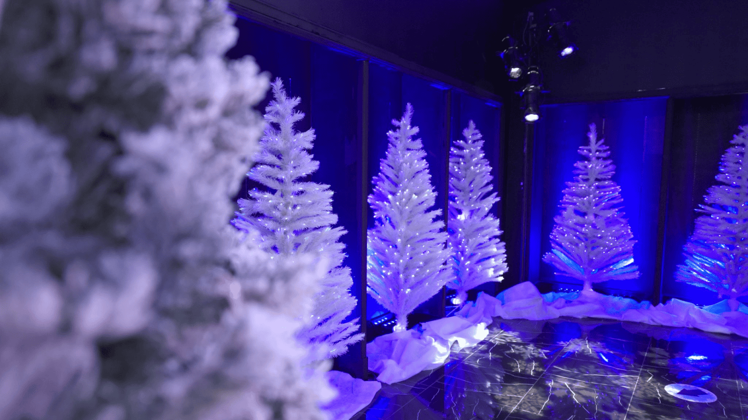 15 Unique Christmas Party Raffle Ideas: Transform Your Holiday Celebration