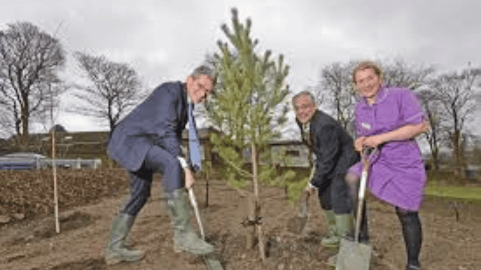 17 Creative Christmas Tree Fundraiser Ideas to Light Up Your Community