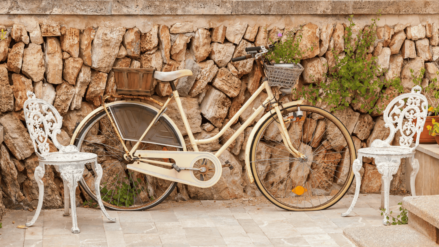 Top 15 Motorcycle Raffle Ideas: Rev Up Your Fundraising | Nonprofit Point