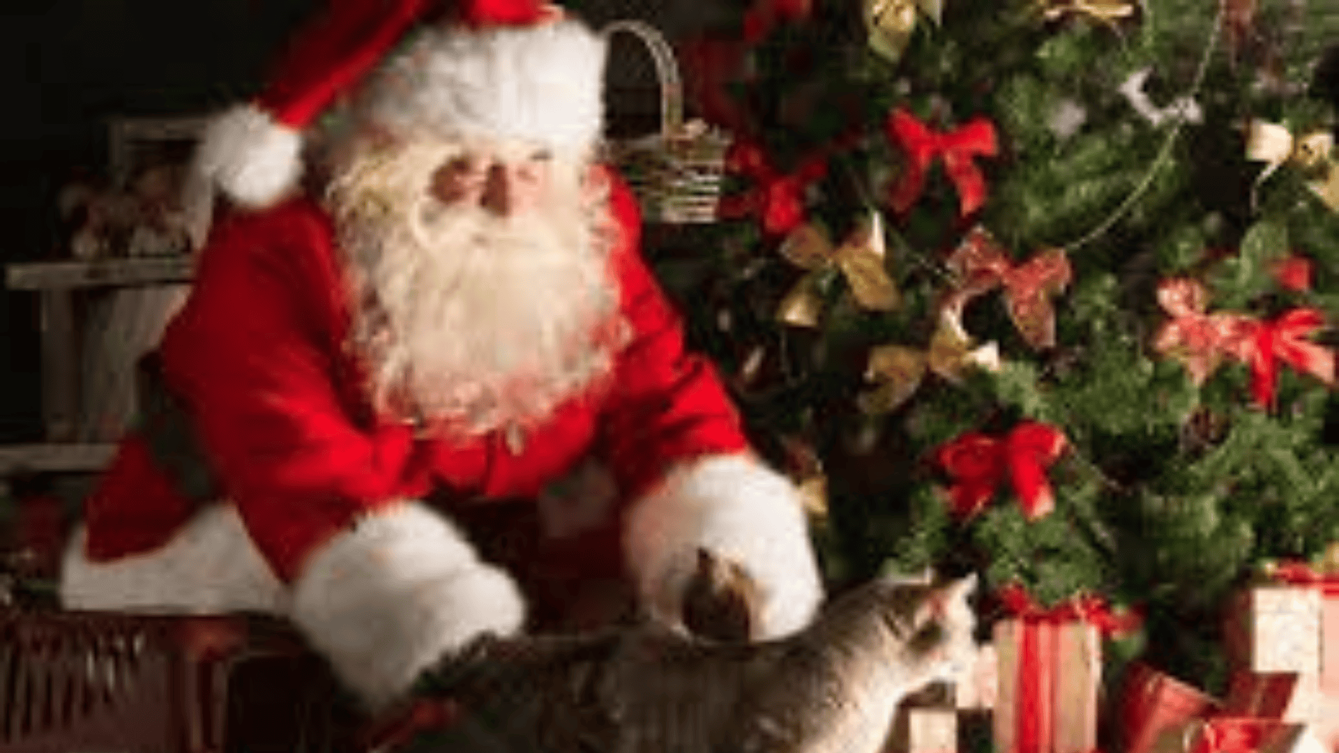 18 Creative Christmas Fundraiser Ideas for Animal Shelters