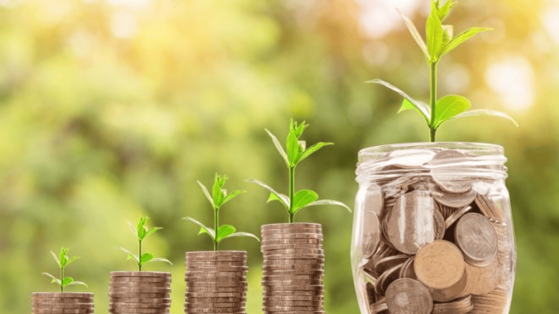 Unlocking the Power of Grassroots Fundraising: A Guide for Changemakers