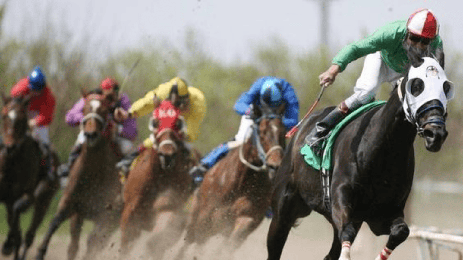 15 Creative Night at the Races Fundraiser Ideas to Gallop Towards Success